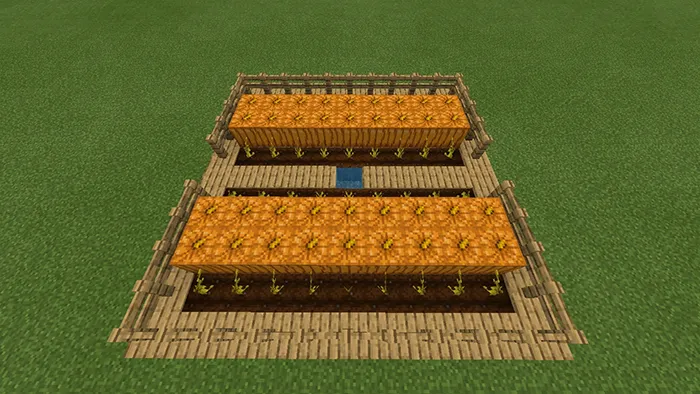 Building the Ultimate Minecraft Pumpkin Farm